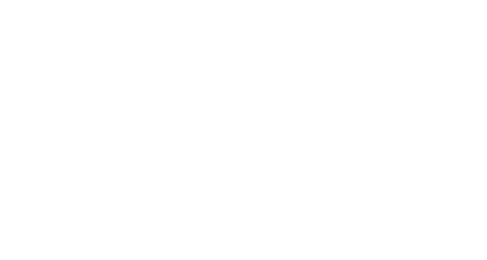The Net Effect - Corfix